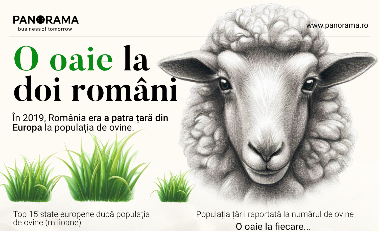 România, saivanul Europei. Avem o oaie la doi români